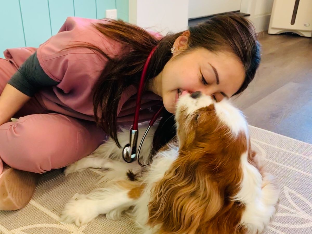 You are the hero! | Integrative Pet Wellness Center