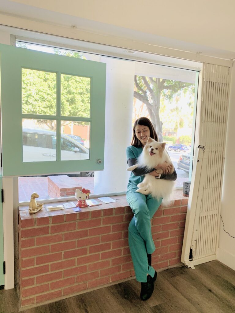 ️ Transitions 💜 | Integrative Pet Wellness Center