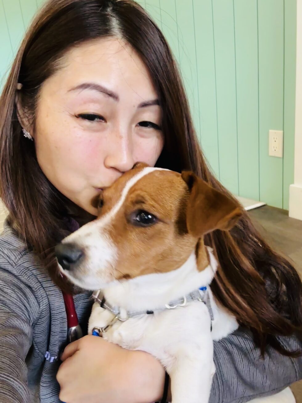 🌎 Ozone therapy can change lives. | Integrative Pet Wellness Center