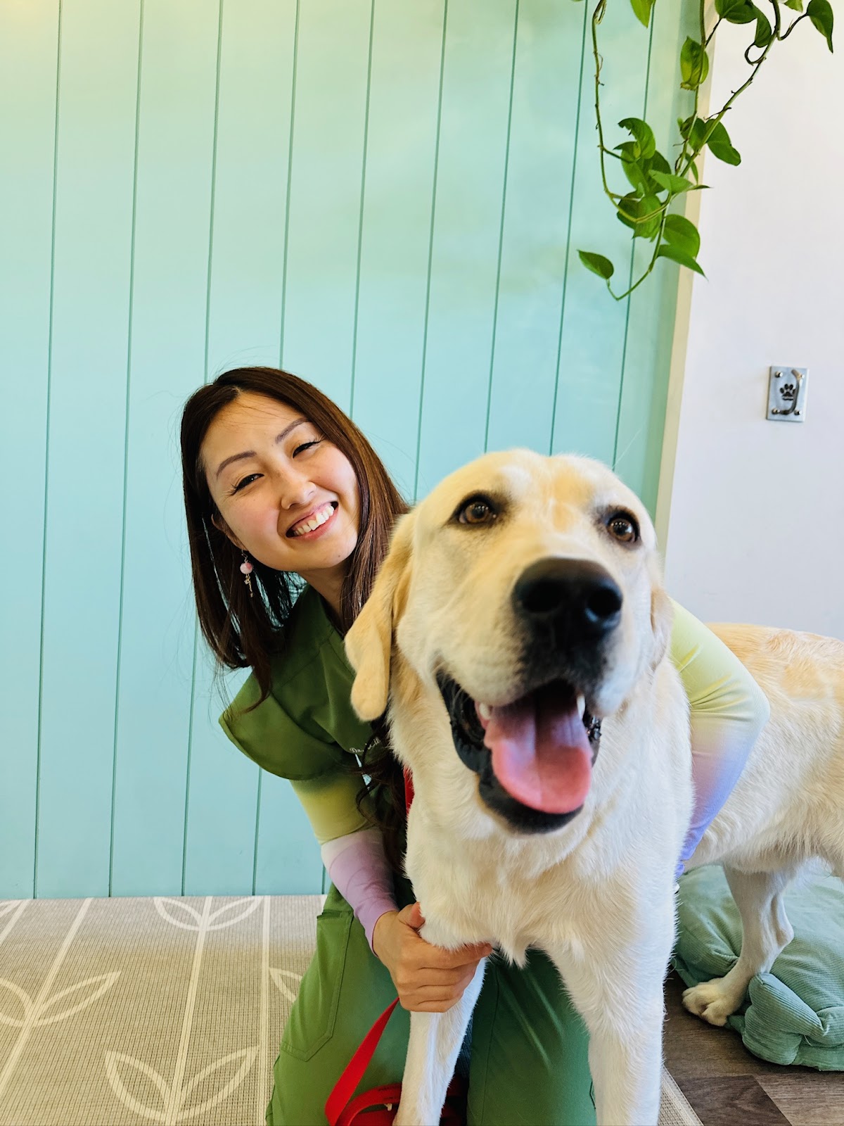 What if pet care could start a revolution? | Integrative Pet Wellness ...